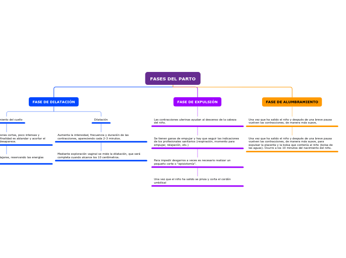 FASES DEL PARTO - Mind Map
